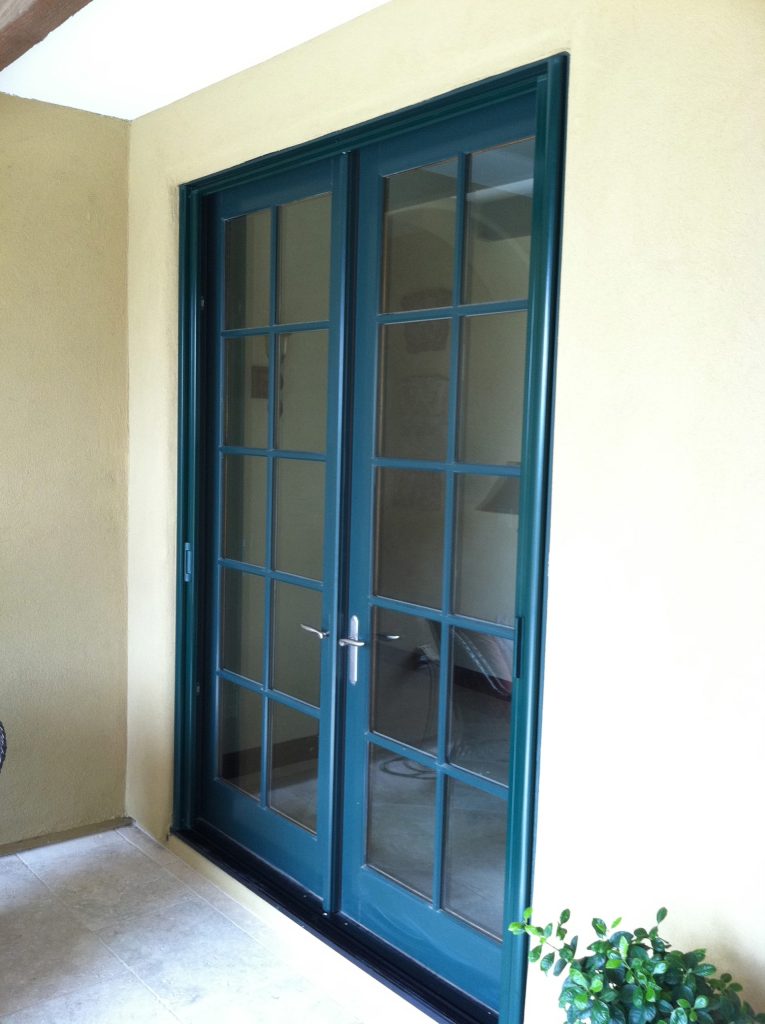 It’s Like The Chameleon Lizard Of Door Screen Options
